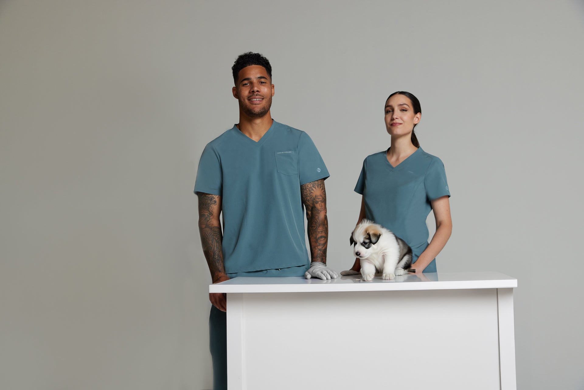 Elevating Veterinary Care: New Partnership with Vetcelerator – Noel ...
